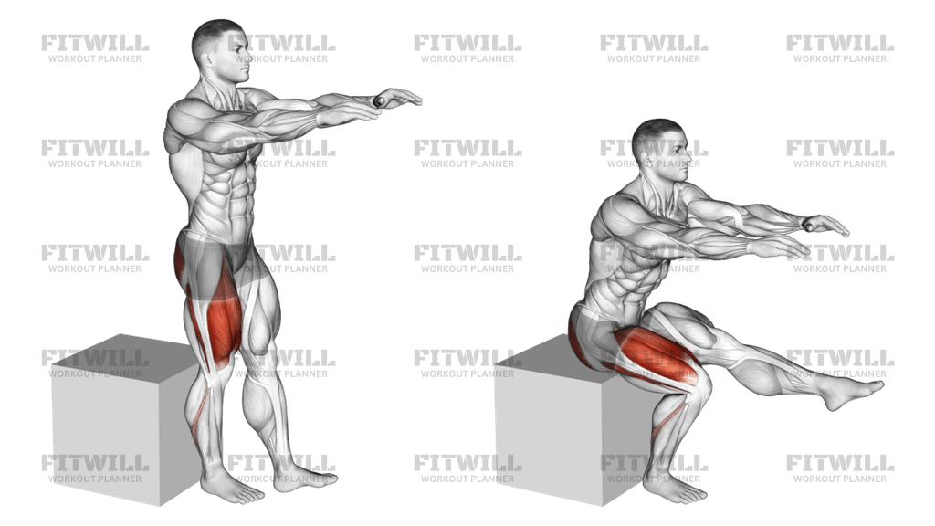 Pistol Squat To Box: Exercise Guide, Video, Techniques, Benefits, How ...