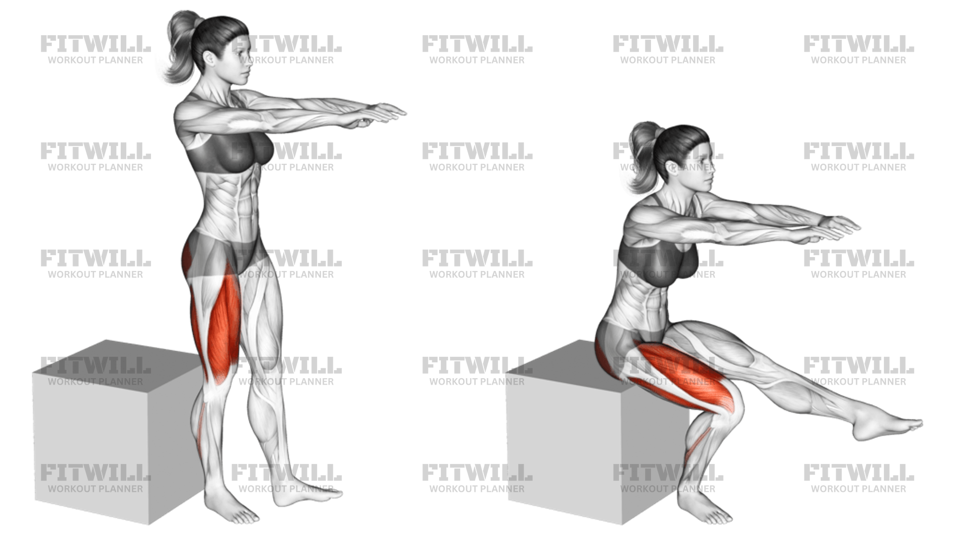 Pistol Squat To Box: Exercise Guide, Video, Techniques, Benefits, How ...