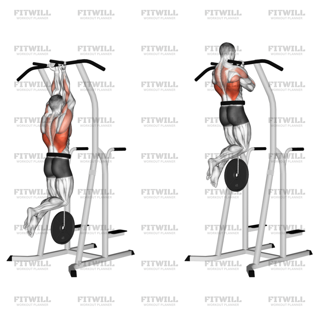 Weighted Close Grip Chin-up On Dip Cage: Exercise Guide, Techniques ...