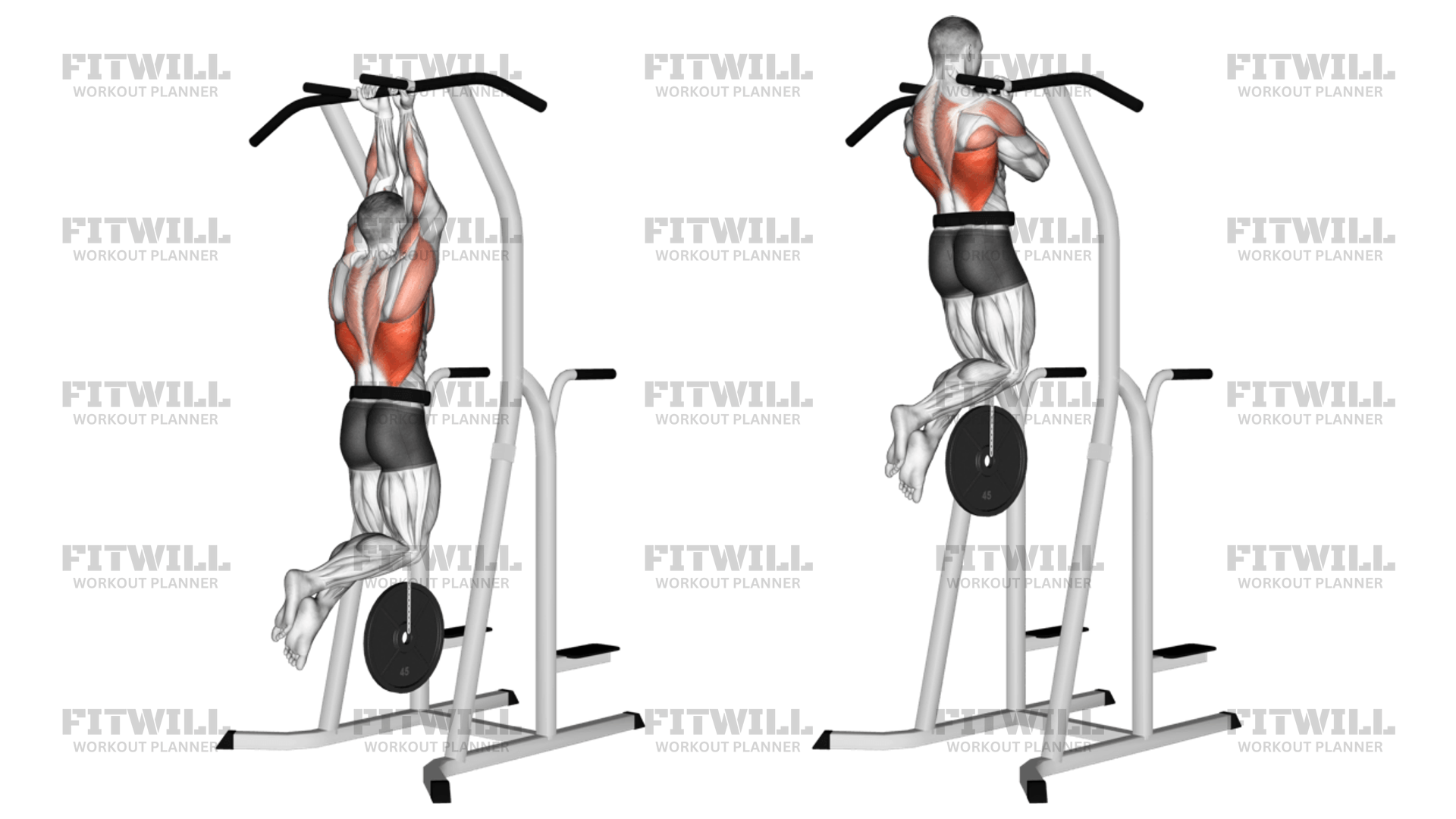 Weighted Close Grip Chin-up On Dip Cage: Exercise Guide, Techniques ...
