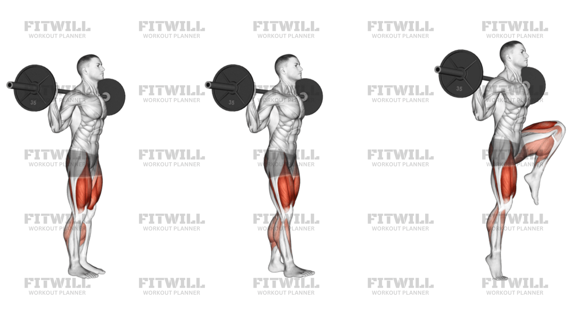 Barbell Walk Calves Activation: Exercise Guide, Techniques, Benefits ...