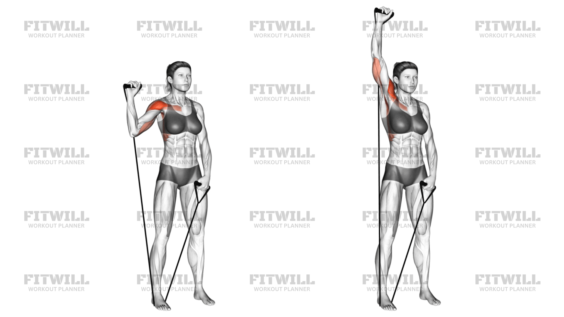Band Single-Arm Shoulder Press: Exercise Guide, Techniques, Benefits ...