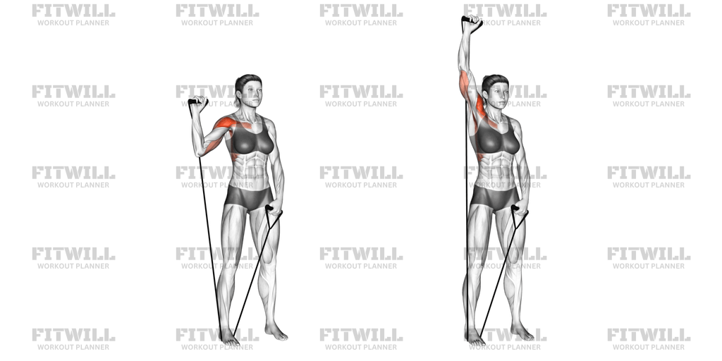 Band Single Arm Shoulder Press: Exercise Guide, Techniques, Benefits ...