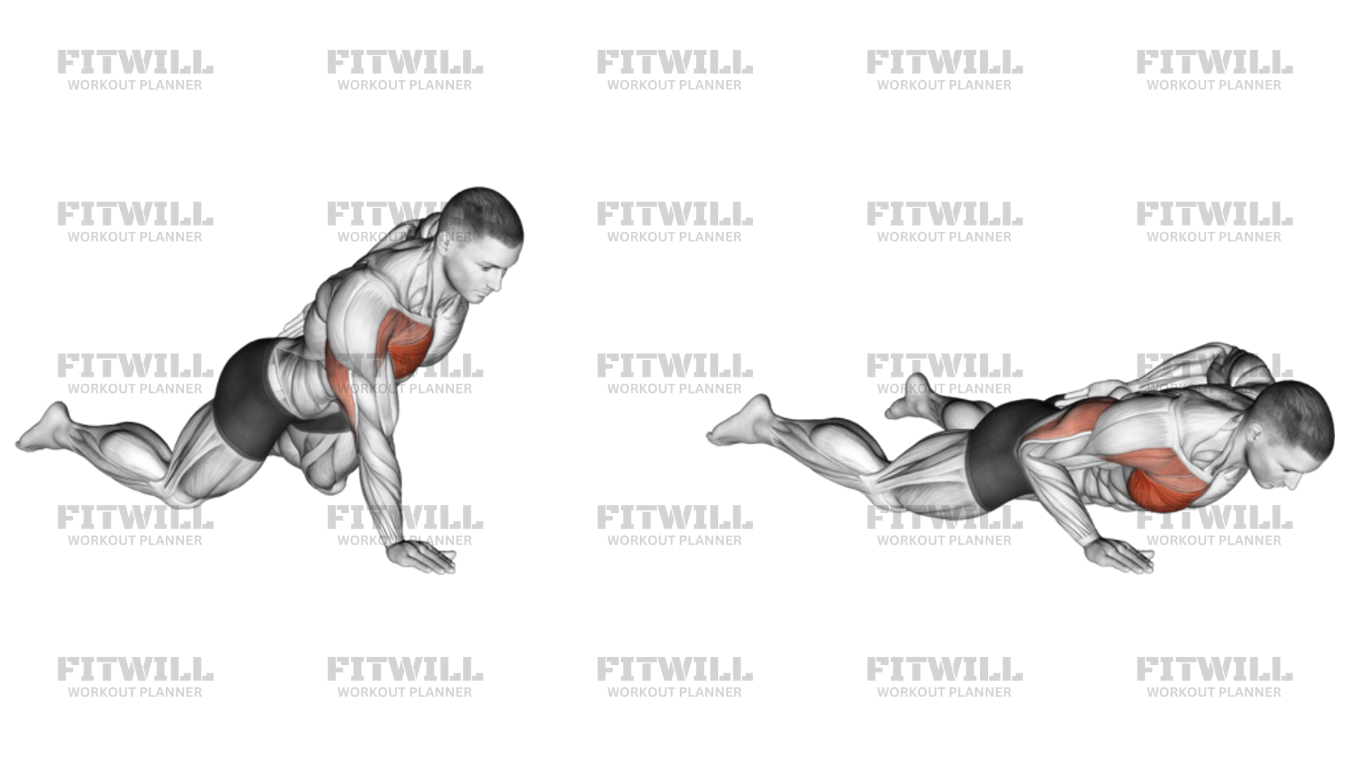 Single-Arm Push-Up On Knees: Exercise Guide, Video, Techniques ...