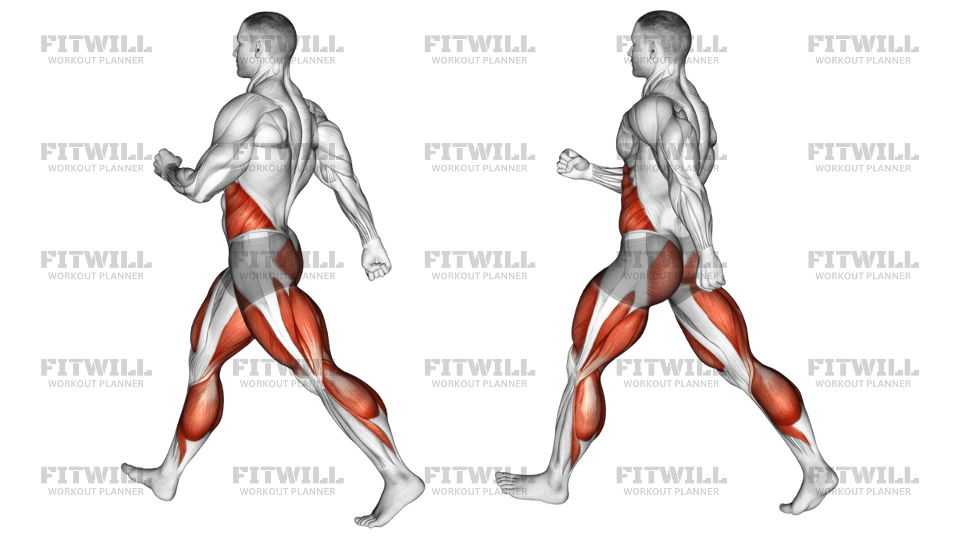 Briskly Walking: Exercise Guide, Video, Techniques, Benefits, How to ...