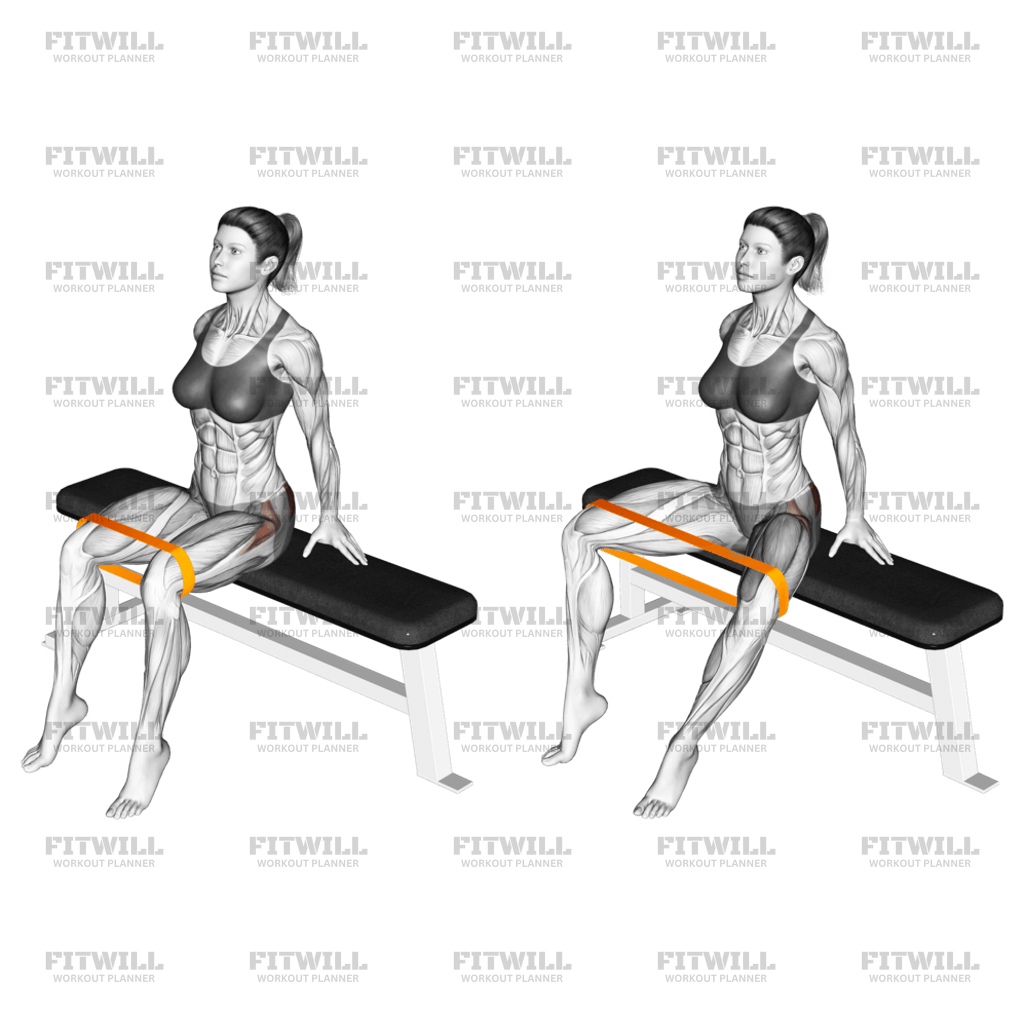 Resistance Band Seated Hip Abduction: Exercise Guide, Video, Techniques, Benefits, How to ...