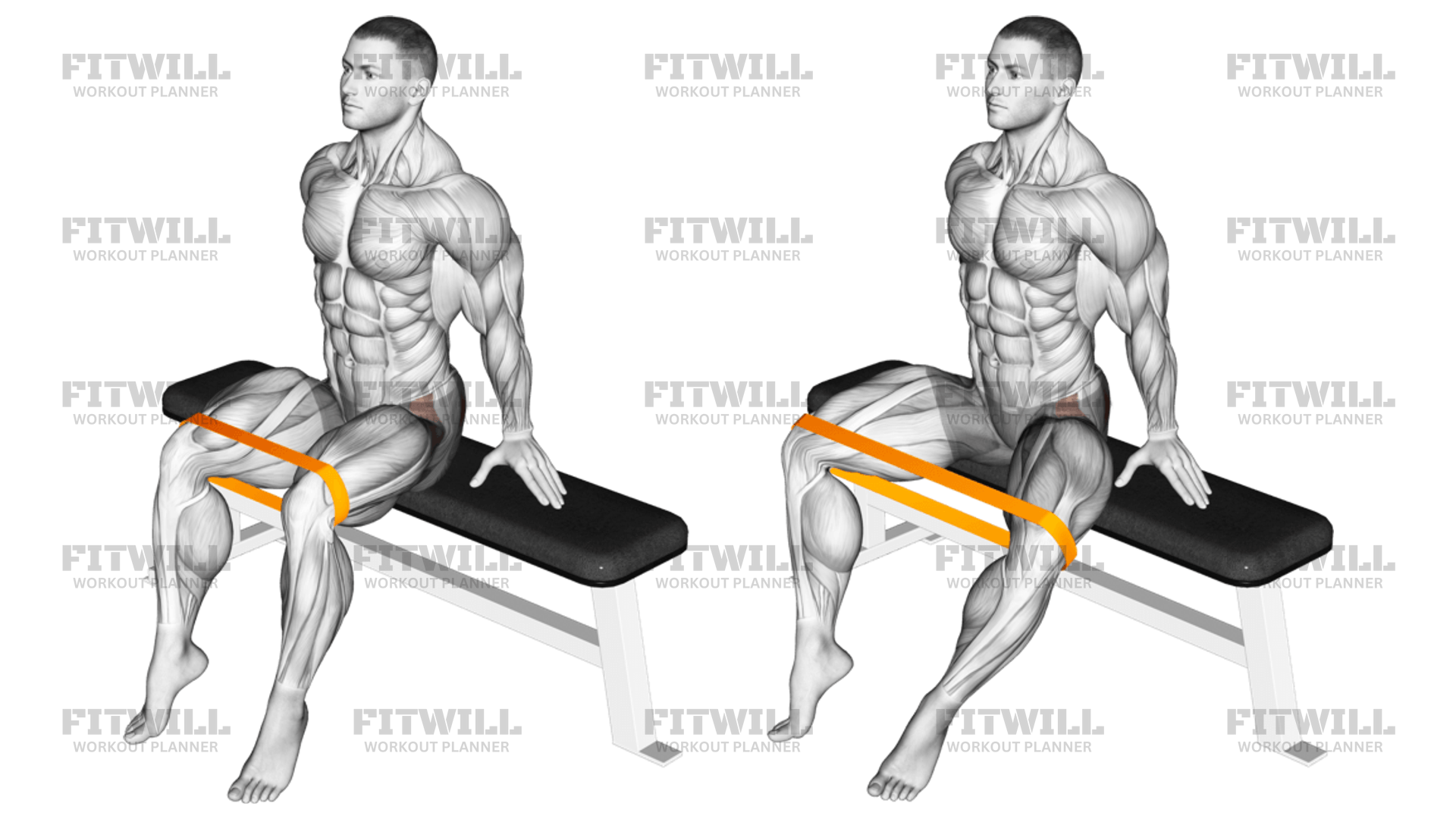 Resistance Band Seated Hip Abduction: Exercise Guide, Video, Techniques ...