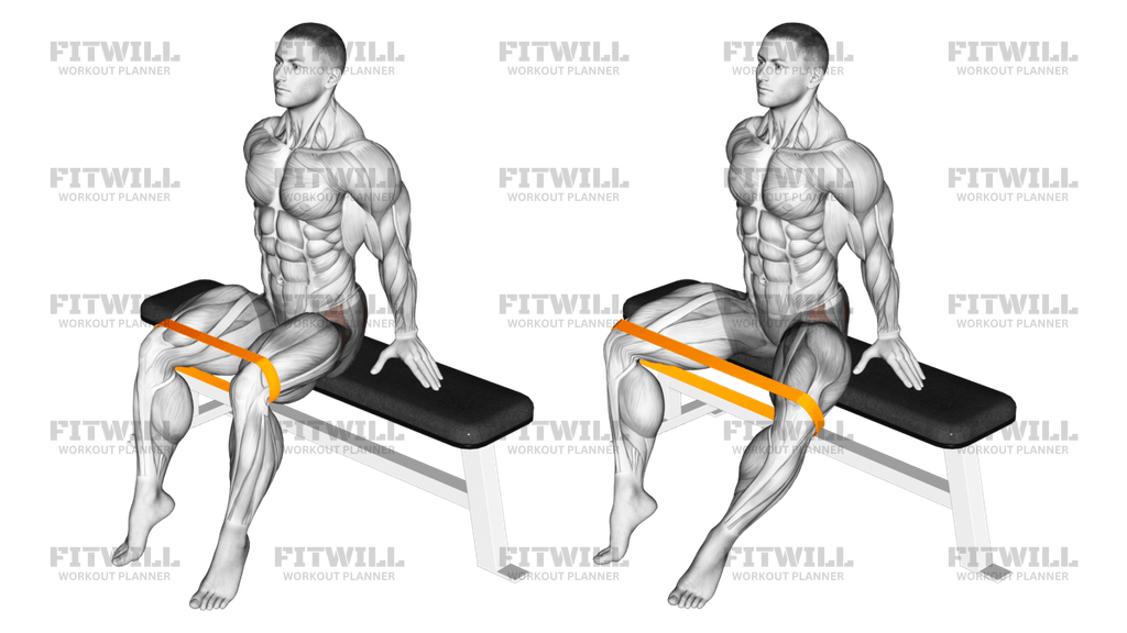 Resistance Band Seated Hip Abduction: Exercise Guide, Video, Techniques ...