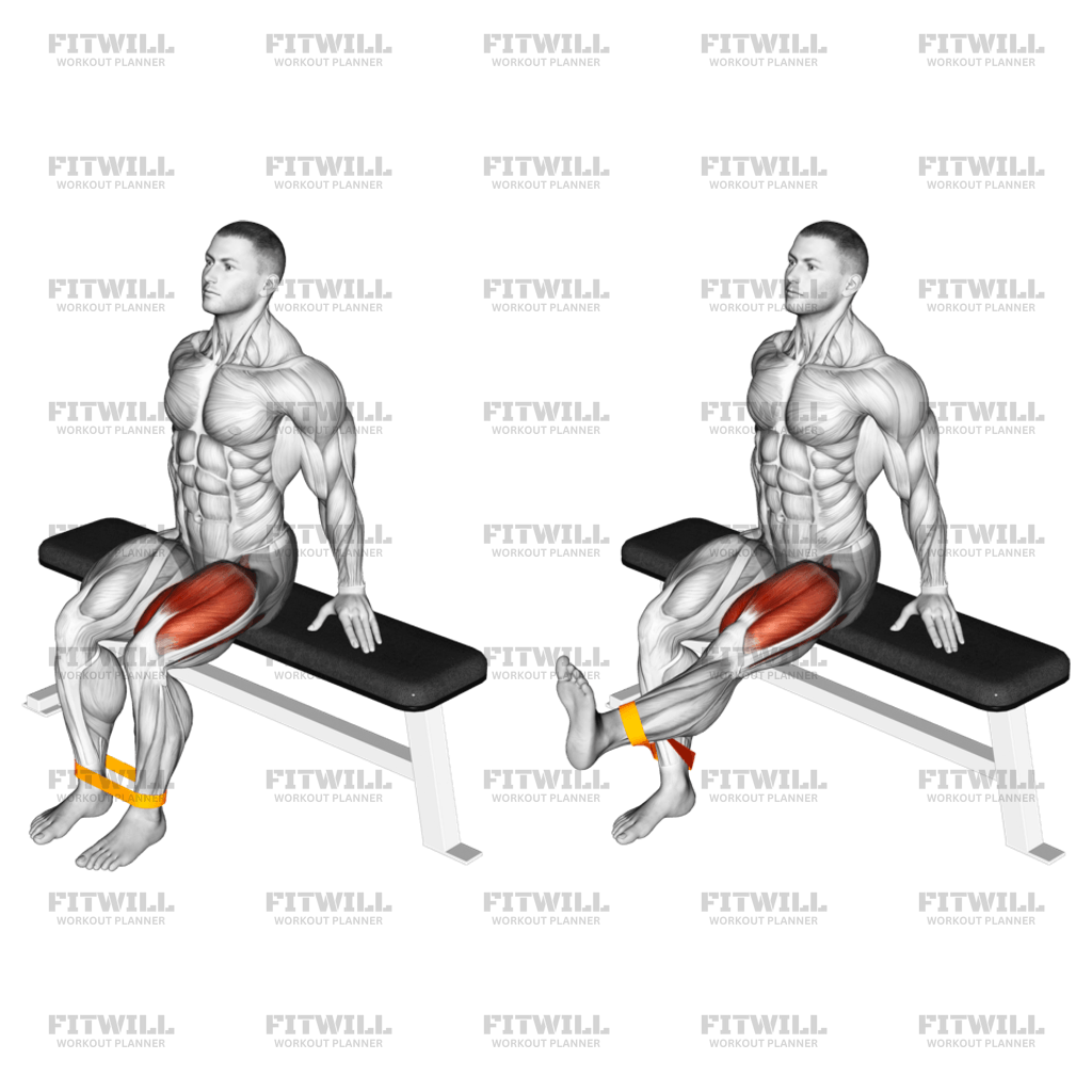Resistance Band Leg Extension: Exercise Guide, Techniques, Benefits ...