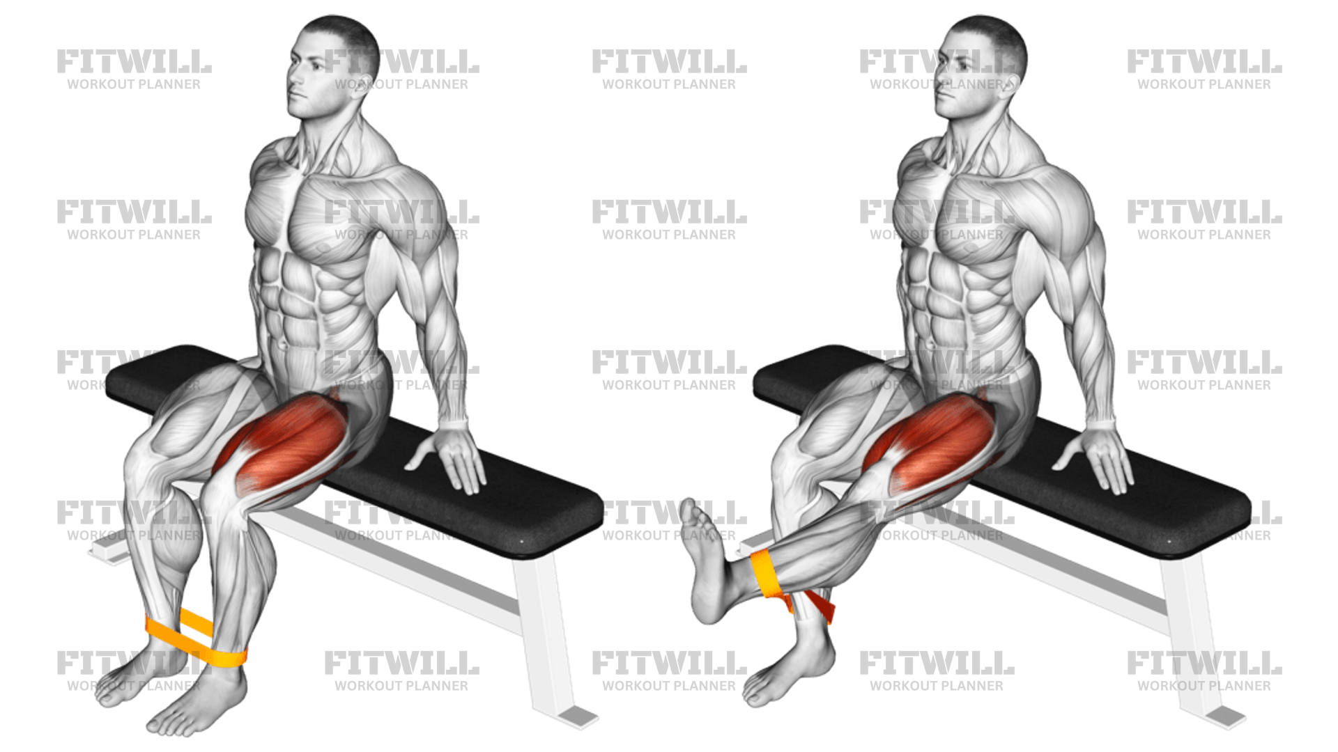 Resistance Band Leg Extension: Exercise Guide, Techniques, Benefits ...