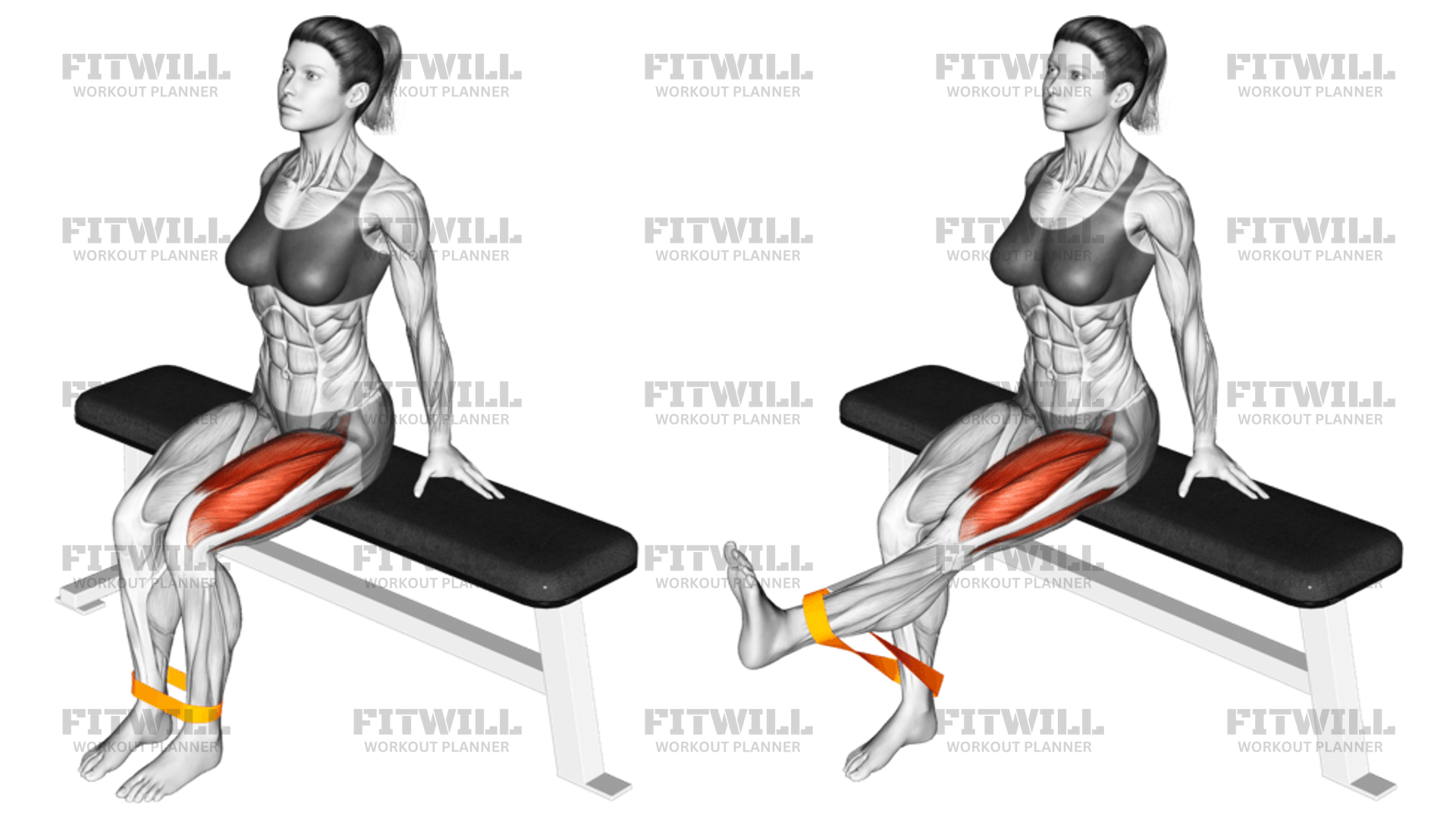 Resistance Band Leg Extension Exercise Guide Techniques Benefits How To Muscles Worked