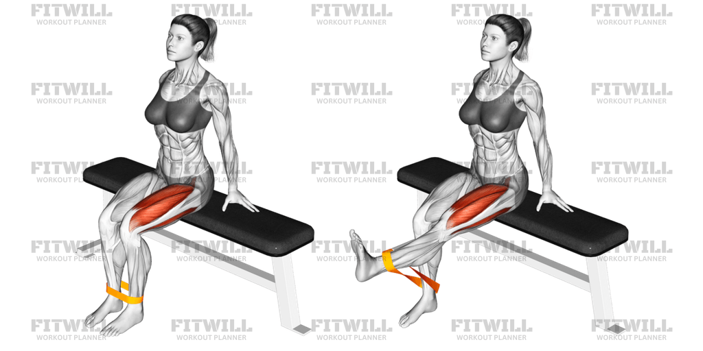 Resistance Band Leg Extension: Exercise Guide, Techniques, Benefits ...