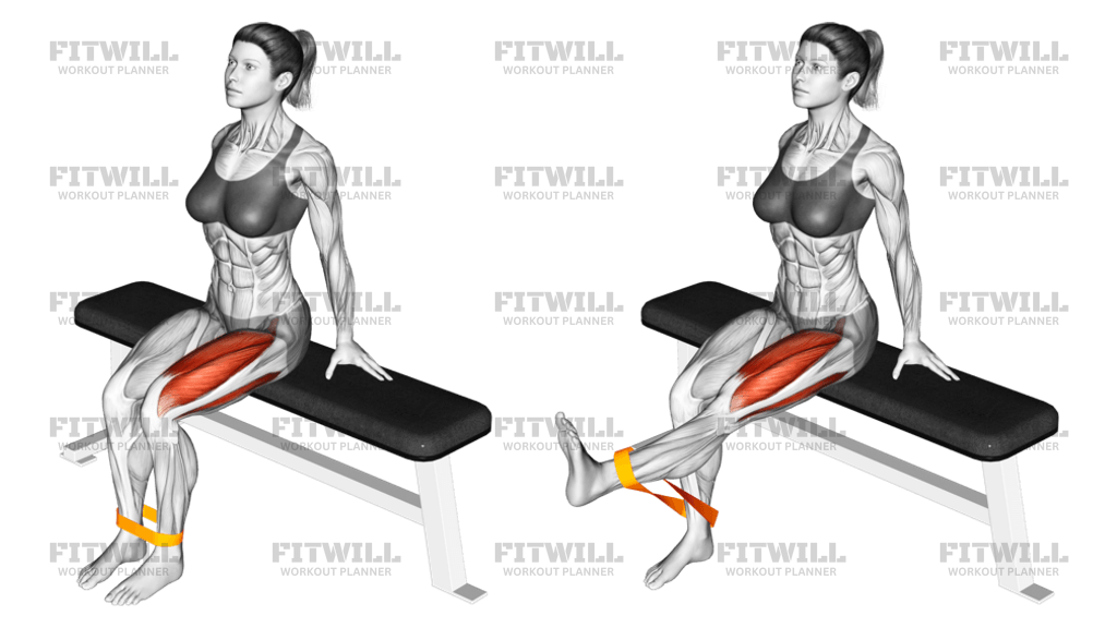 How to do Resistance Band Leg Extension: Techniques, Benefits, Tips ...