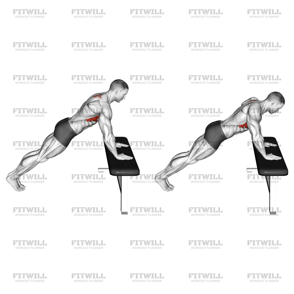 Incline Scapula Push Up: Exercise Guide, Techniques, Benefits, How to ...