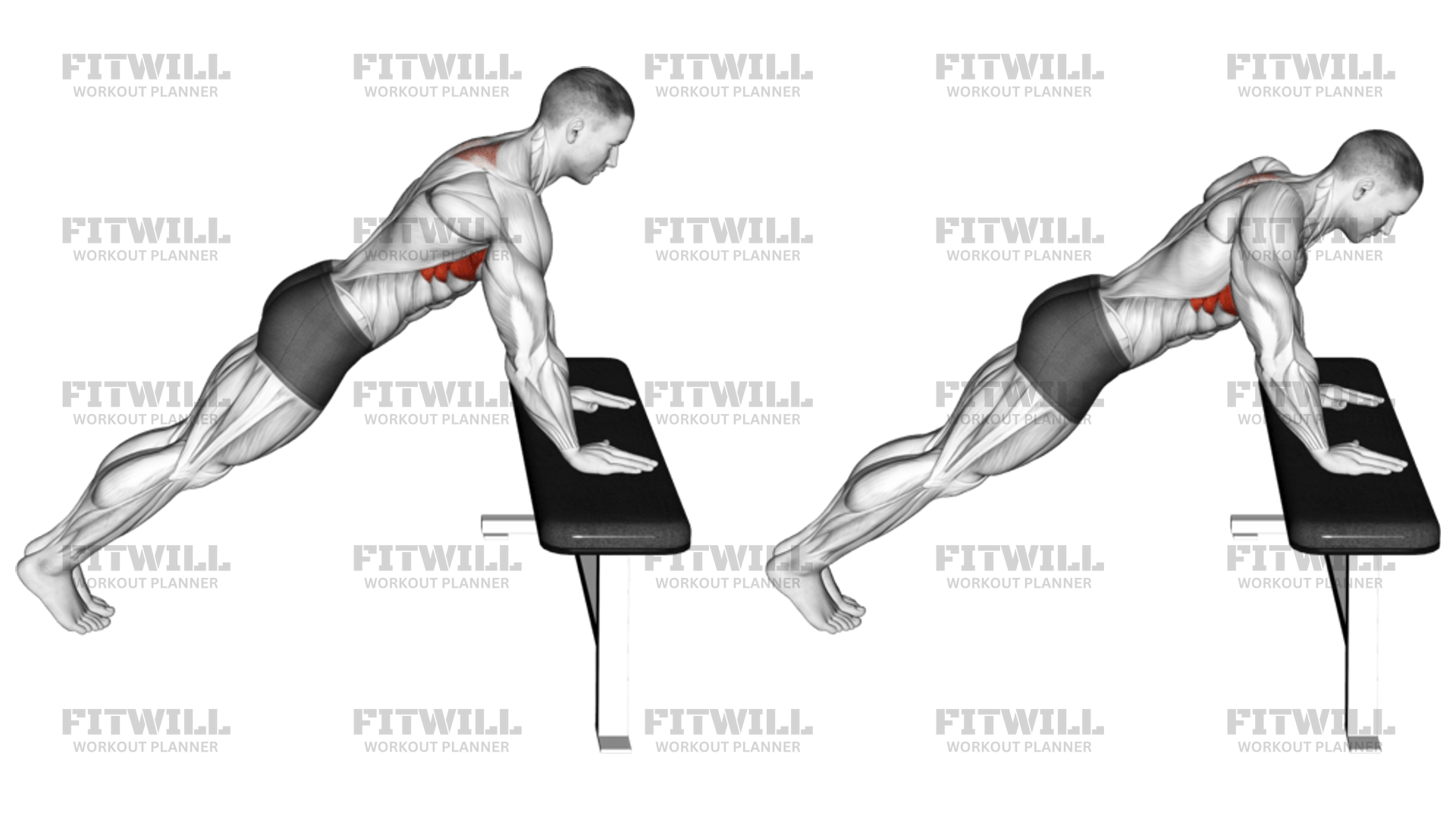 Incline Scapula Push Up: Exercise Guide, Techniques, Benefits, How to ...