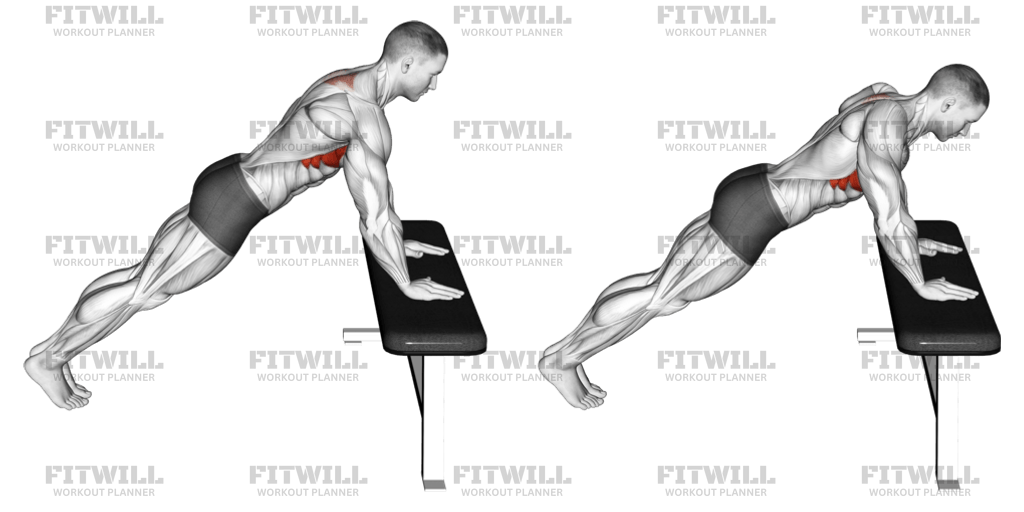 Incline Scapula Push Up: Exercise Guide, Techniques, Benefits, How to ...
