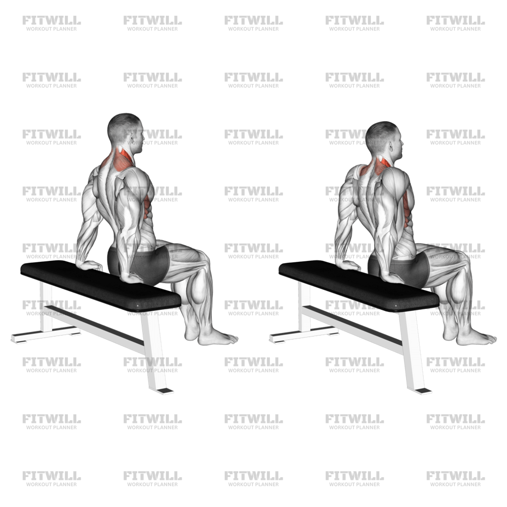 Scapula Dips: Exercise Guide, Video, Techniques, Benefits, How to ...