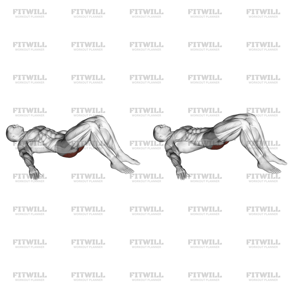 Low Glute Bridge On The Floor: Exercise Guide, Techniques, Benefits ...