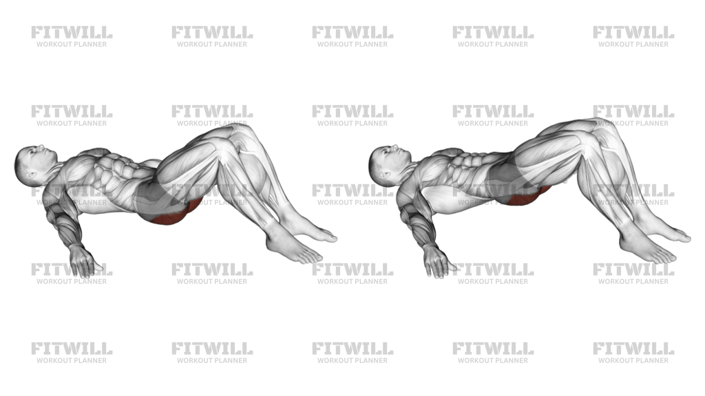 Low Glute Bridge On The Floor: Exercise Guide, Techniques, Benefits ...