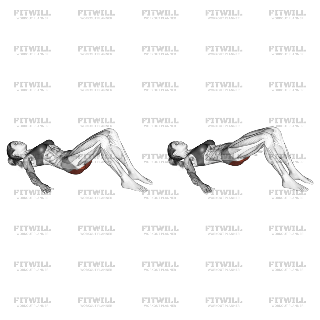 Low Glute Bridge On Floor: Exercise Guide, Techniques, Benefits, How to ...