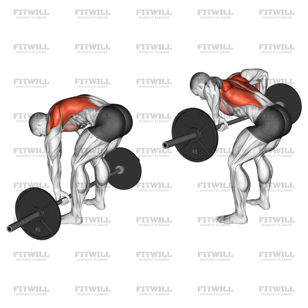 Barbell Pendlay Row Exercise Guide Video Techniques Benefits How to Muscles Worked Tips Tricks Fitwill