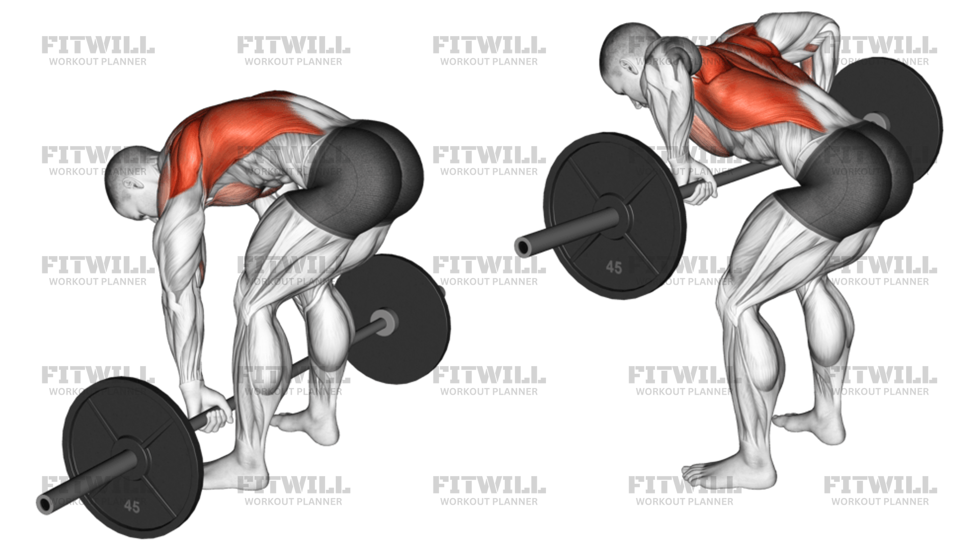 Remo Pendlay Con Barra: Guía de Ejercicios, Video, Técnicas, Beneficios ...