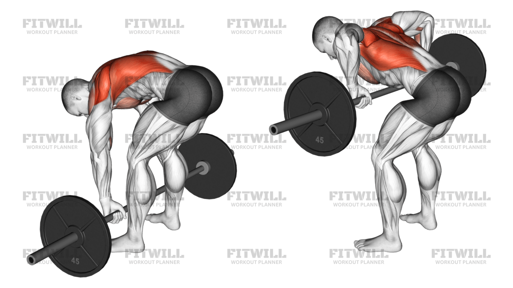 Remo Pendlay Con Barra: Guía de Ejercicios, Video, Técnicas, Beneficios ...