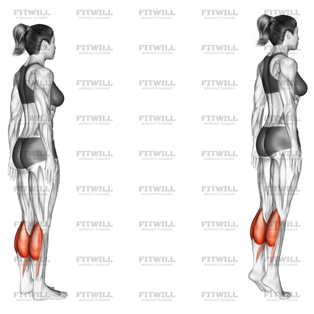 Standing Calf Raise: Exercise Guide, Video, Techniques, Benefits, How ...