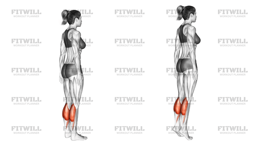 Standing Calf Raise: Exercise Guide, Video, Techniques, Benefits, How ...