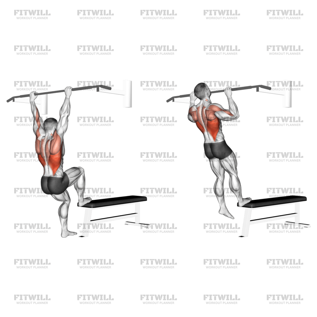 Bench Pull-ups: Exercise Guide, Video, Techniques, Benefits, How to ...