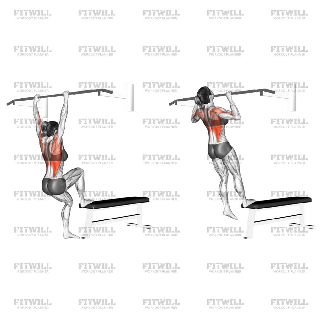 Bench Pull-ups: Exercise Guide, Video, Techniques, Benefits, How to ...
