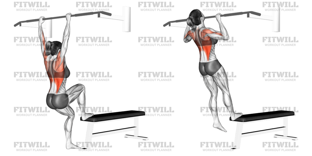 Bench Pull-ups: Exercise Guide, Video, Techniques, Benefits, How to ...