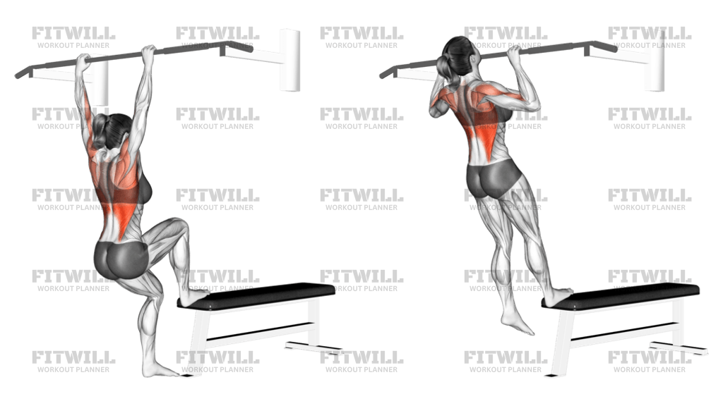 Bench Pull-ups: Exercise Guide, Video, Techniques, Benefits, How to ...