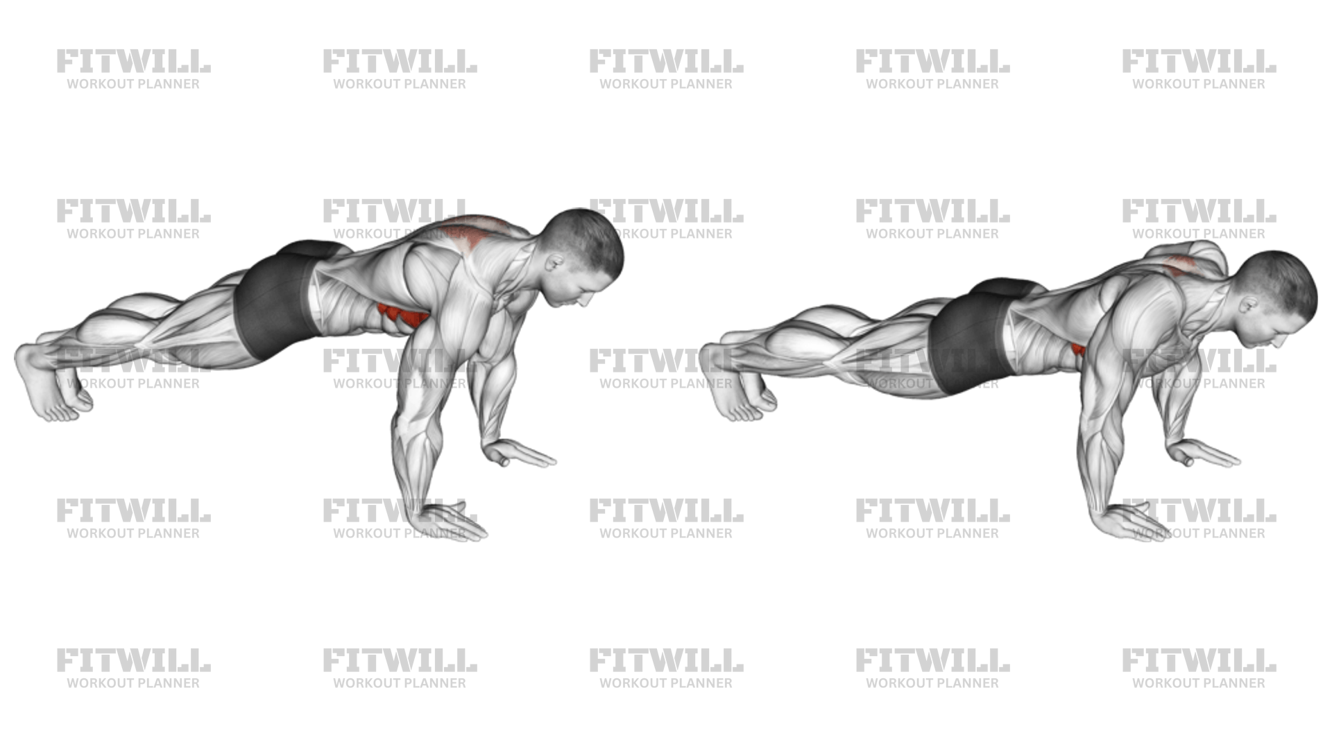 Pompes Scapulaires : Guide d'exercice, vidéo, techniques, avantages ...