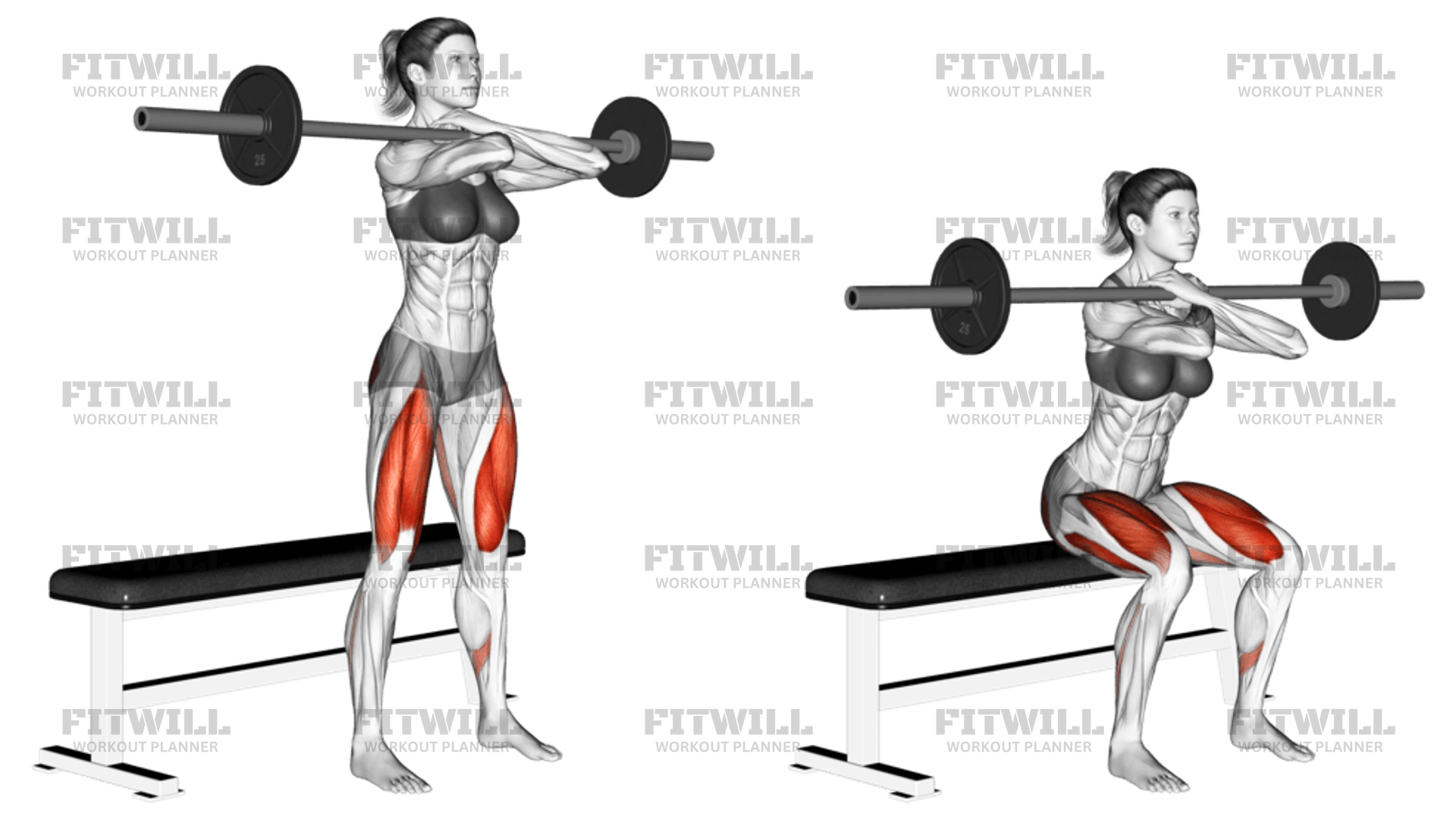 Sentadilla Frontal Con Barra En Banco: Guía de Ejercicios, Técnicas ...