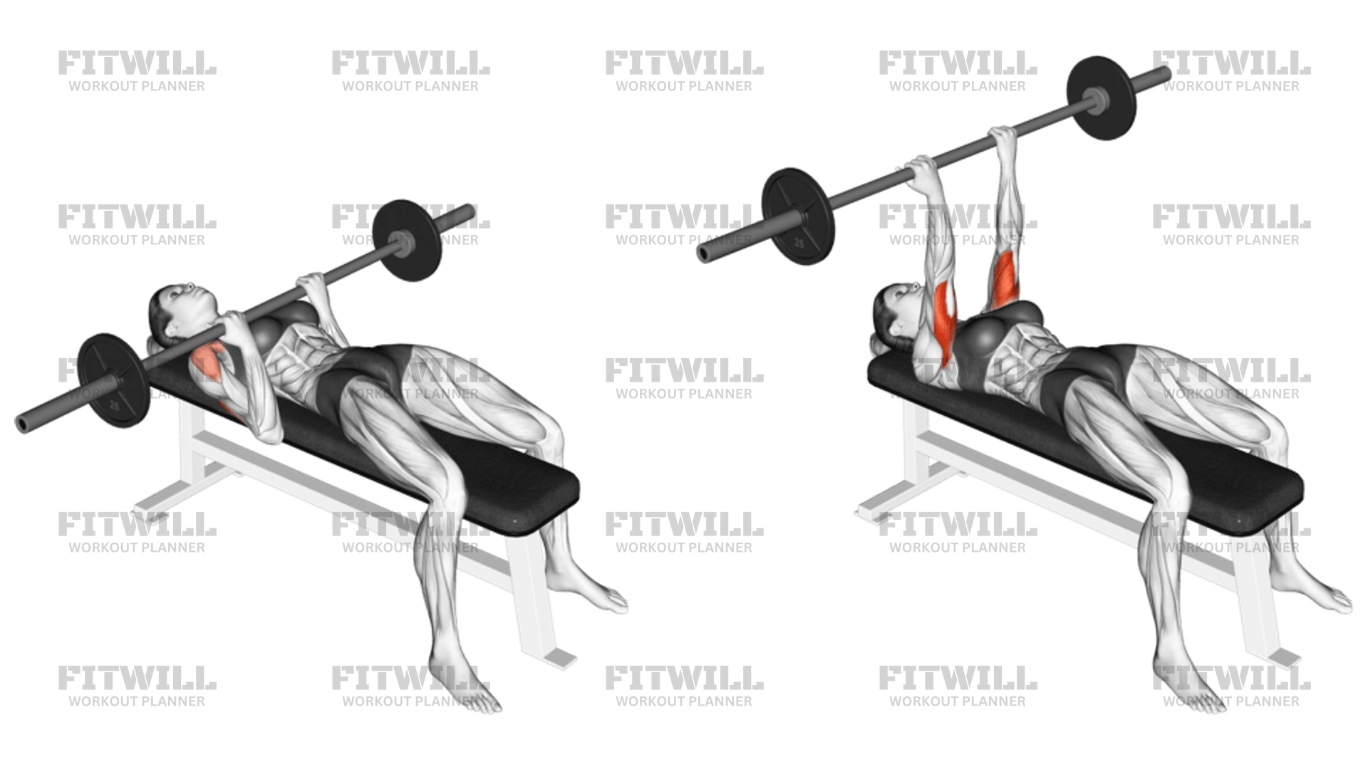 Barbell JM Bench Press: Exercise Guide, Techniques, Benefits, How to ...