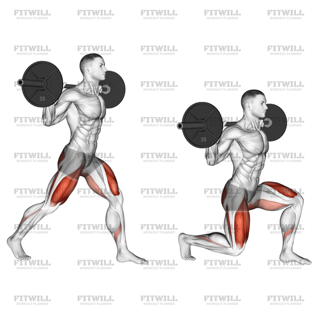 Barbell Split Squat: Exercise Guide, Video, Techniques, Benefits, How to, Muscles Worked, Tips ...