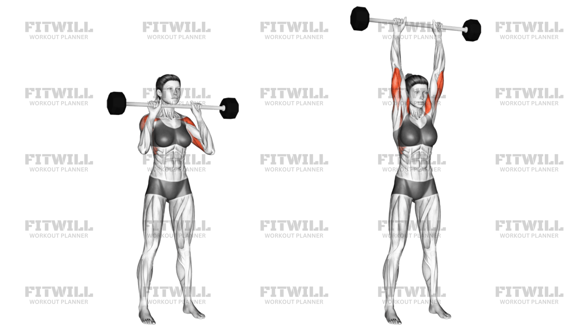 Barbell Standing Close Grip Military Press: Exercise Guide, Video ... Barbell Standing Close Grip Military Press: Exercise Guide, Video ...