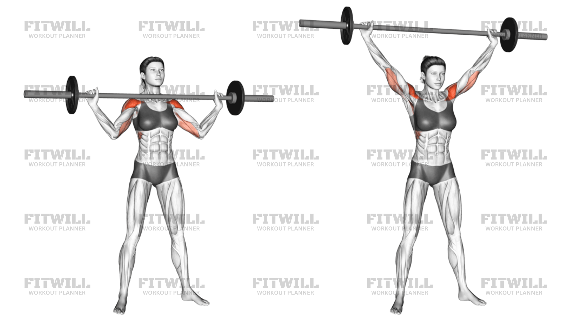 Press Militar De Pie Con Barra Y Agarre Amplio: Guía de Ejercicios ...