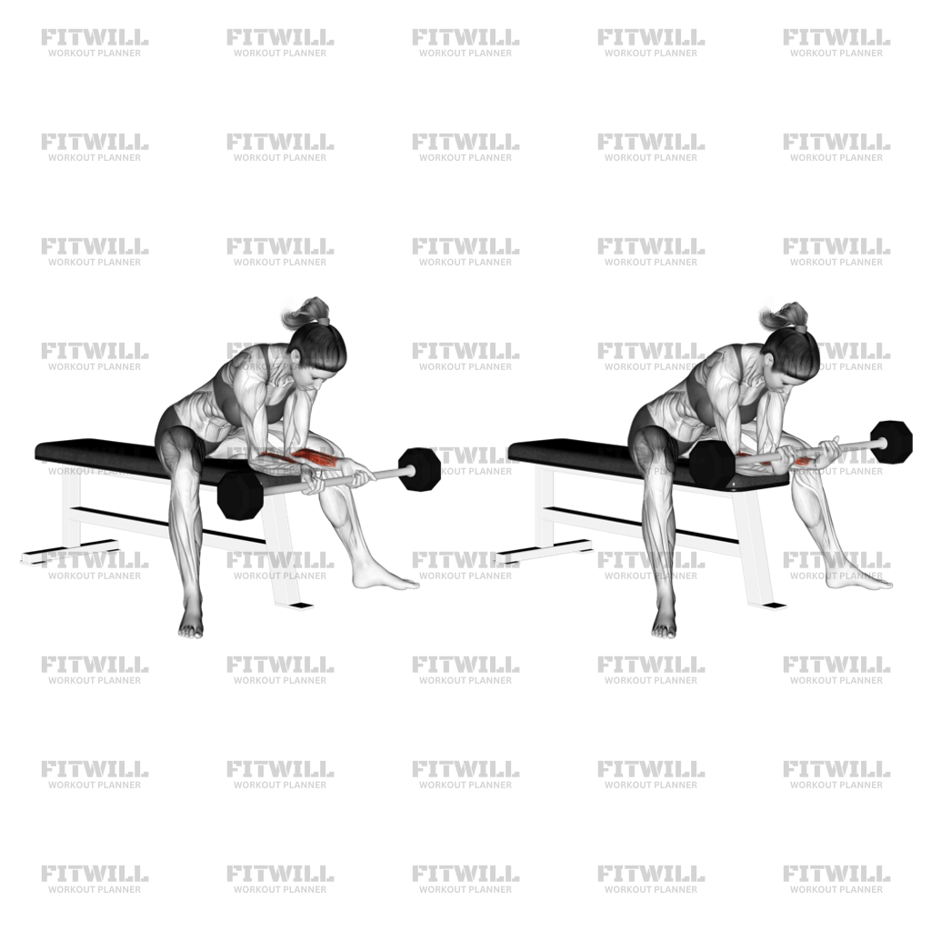Barbell Wrist Curl: Exercise Guide, Video, Techniques, Benefits, How to ...