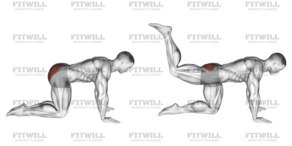 Bent Leg Kickback (kneeling): Exercise Guide, Video, Techniques ...