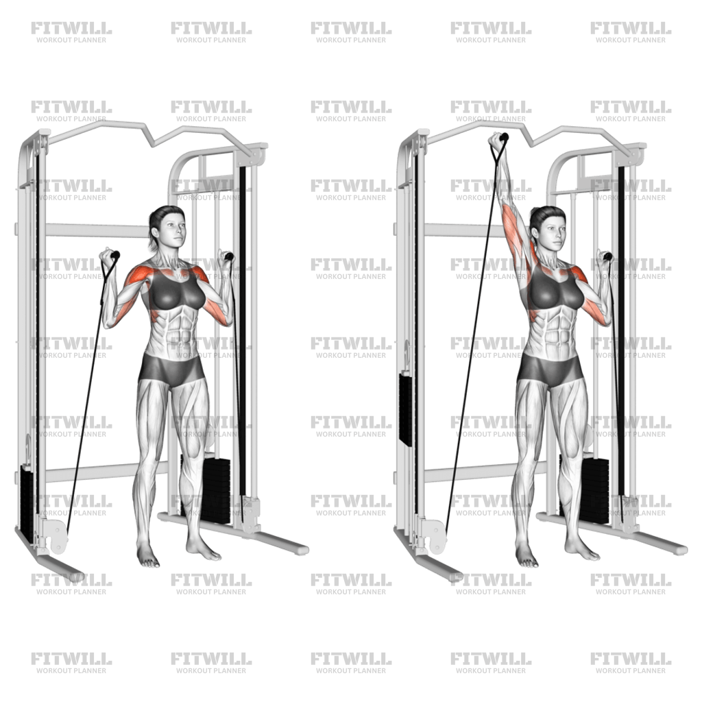 Press De Hombros Alterno Con Polea: Guía de Ejercicios, Técnicas ...