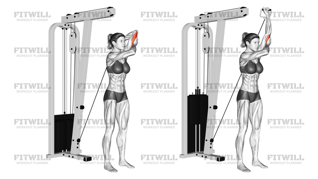 Cable Alternate Triceps Extension: Exercise Guide, Techniques, Benefits ...