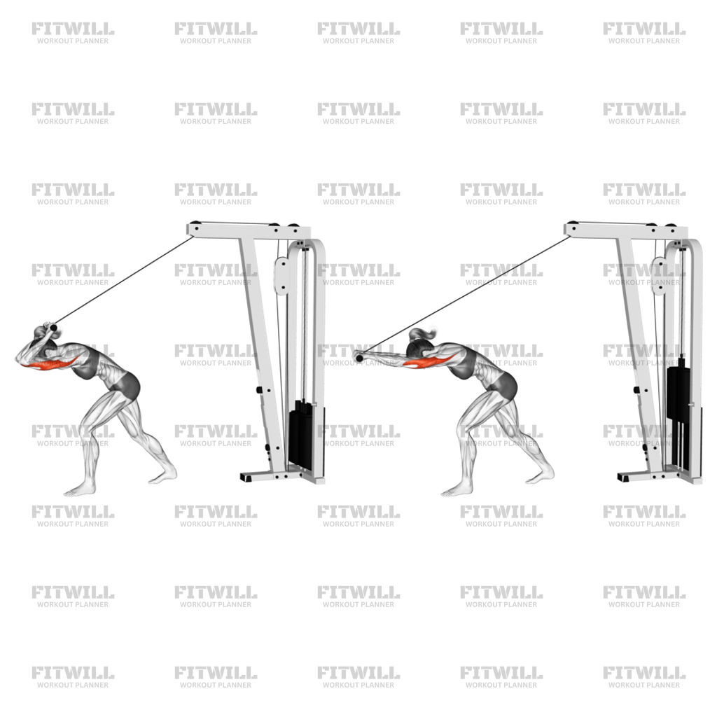 Cable Bar High Pulley Overhead Tricep Extension: Exercise Guide ...