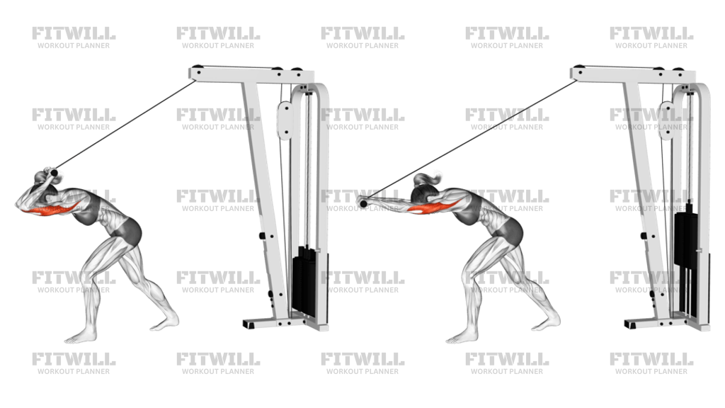 Cable Bar High Pulley Overhead Tricep Extension: Exercise Guide ...