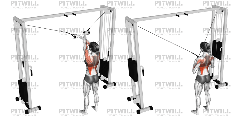 Puxada Lateral No Cross Over: Guia de Exercício, Vídeo, Técnicas ...
