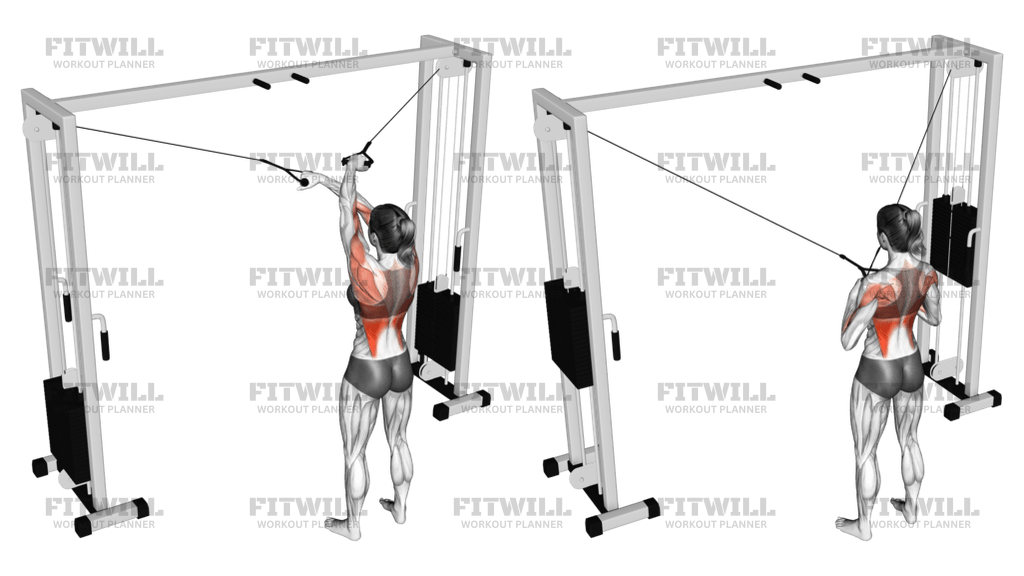 Cable Cross Over Lateral Pulldown: Exercise Guide, Video, Techniques ...