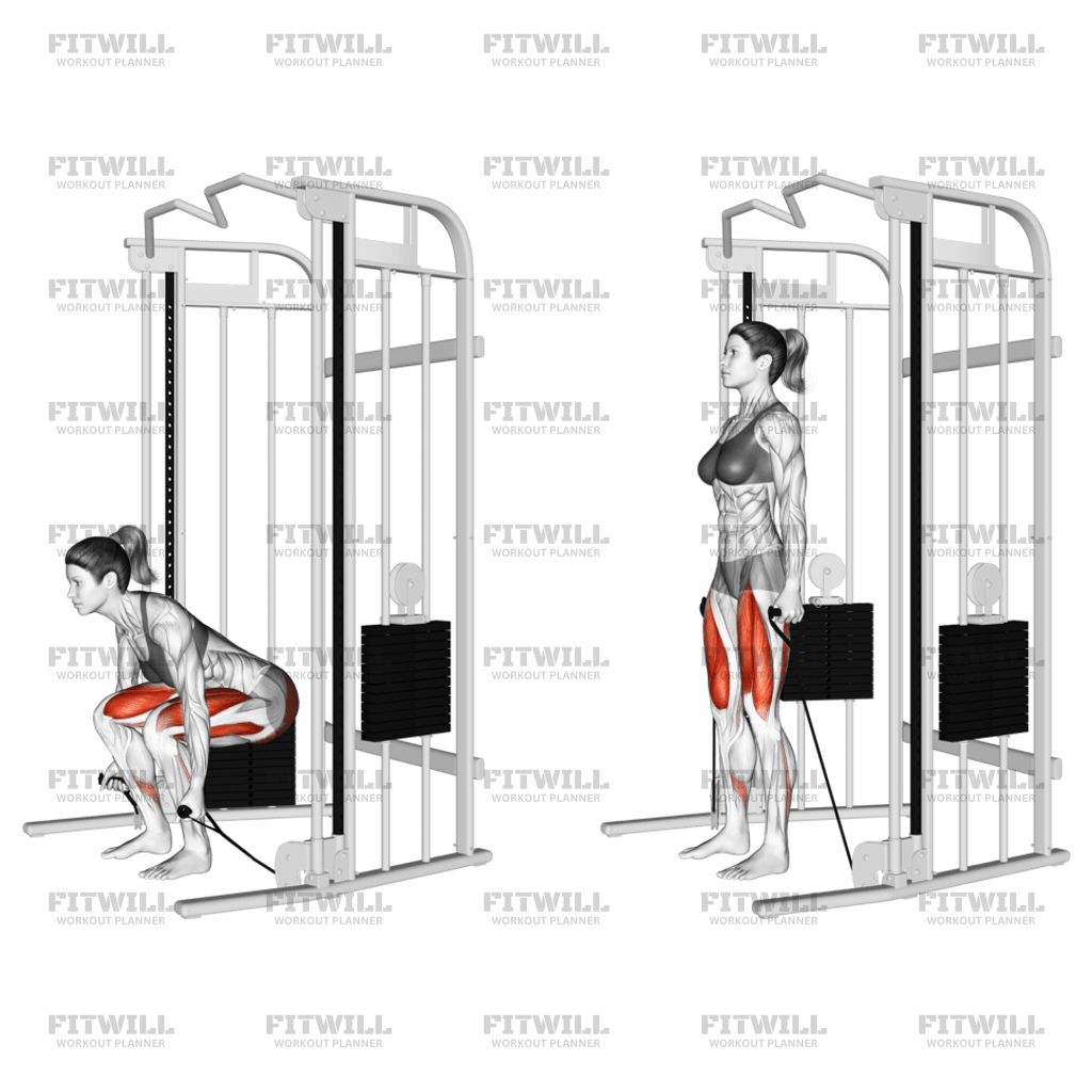 Cable Deadlift: Exercise Guide, Video, Techniques, Benefits, How to ...