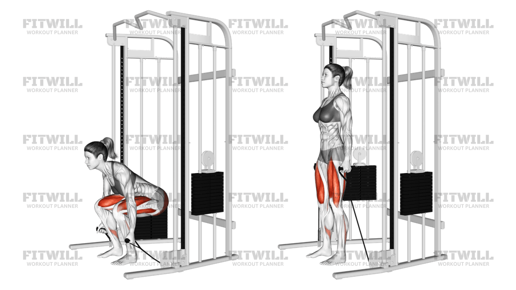 Cable Deadlift: Exercise Guide, Video, Techniques, Benefits, How to ...