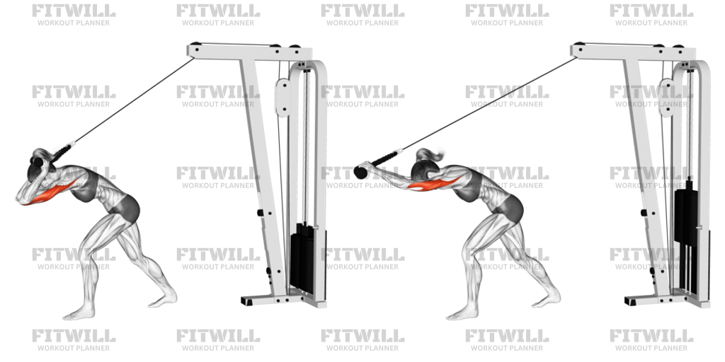 Cable High Pulley Overhead Tricep Extension: Exercise Guide, Video ...